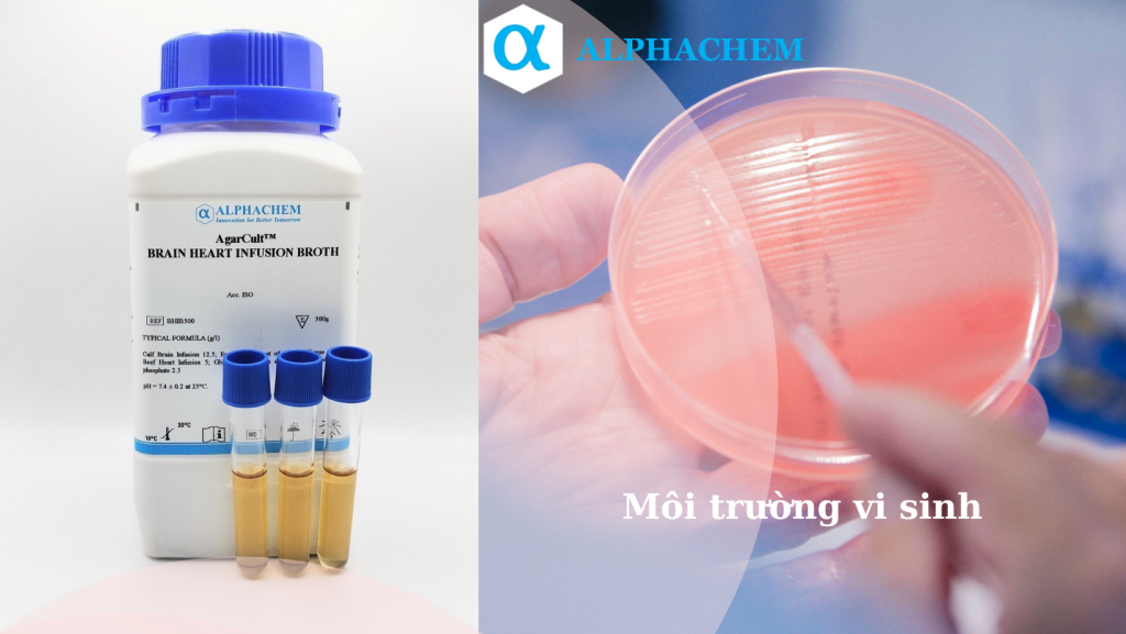 Môi trường nuôi cấy vi sinh Alphachem – Labcare